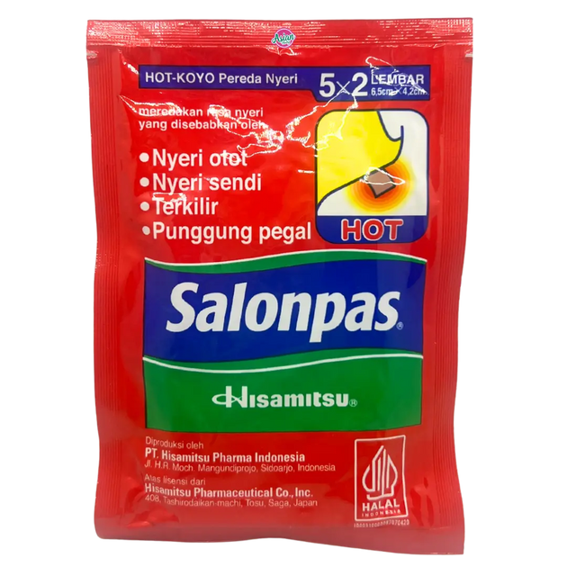 Salonpas Analgesic Patch/Plaster - HOT (10 Patches) – Asian Pantry